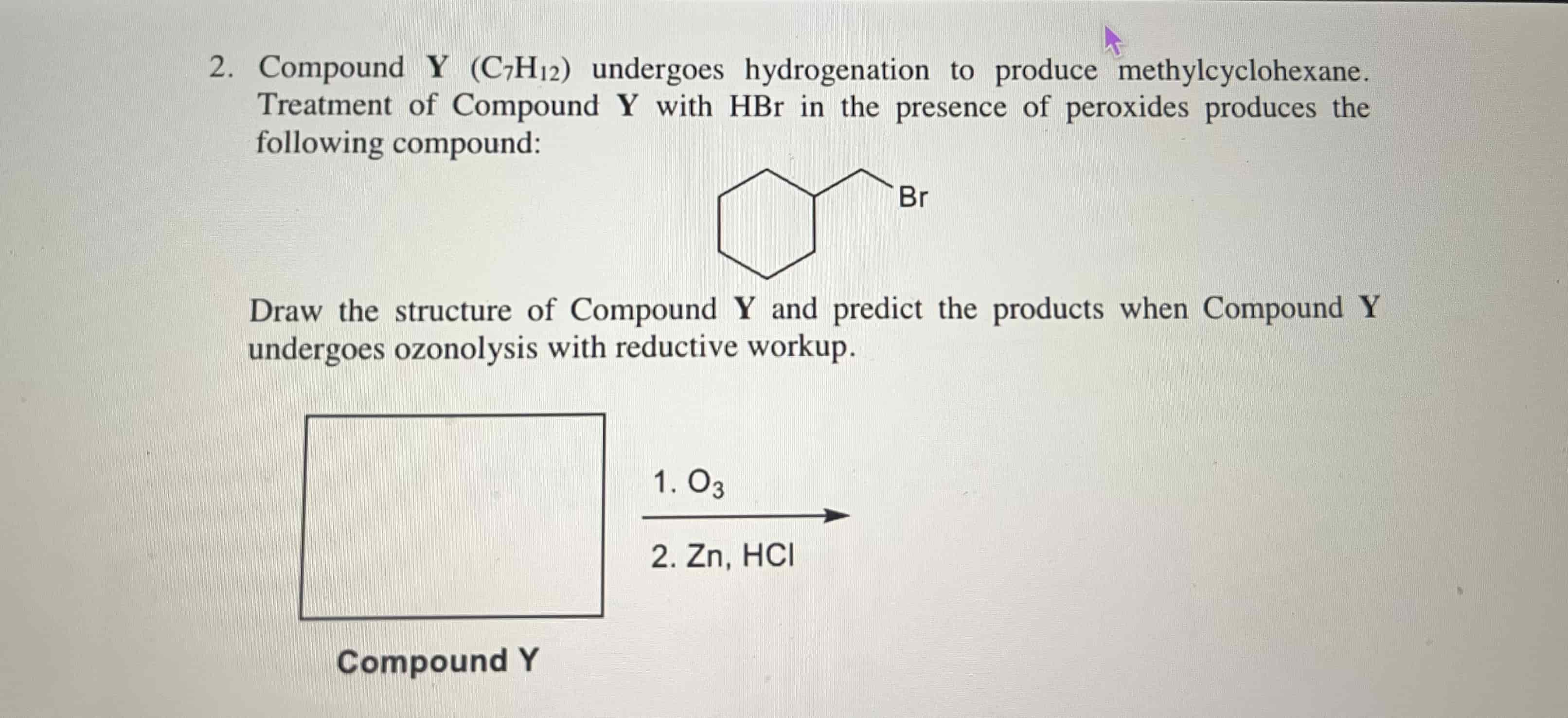 Solved Compound Y(C7H12) undergoes hydrogenation to produce | Chegg.com
