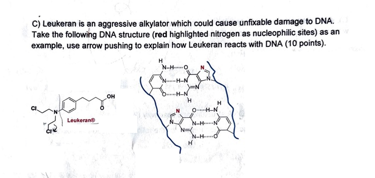 Solved C) Leukeran is an aggressive alkylator which could | Chegg.com