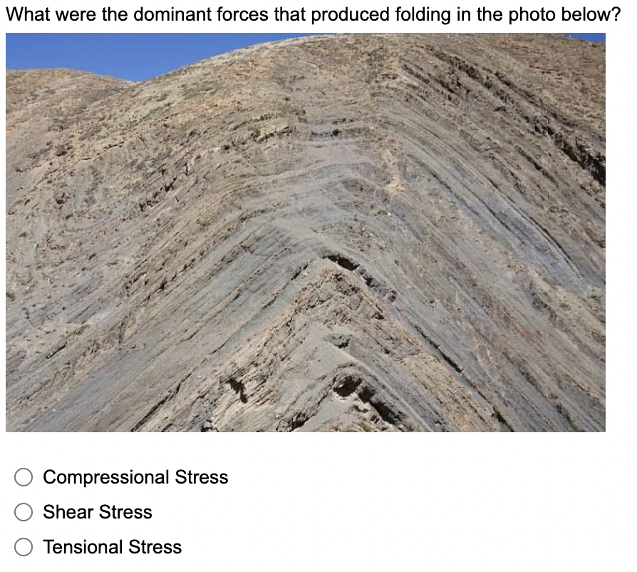 Solved What were the dominant forces that produced folding | Chegg.com
