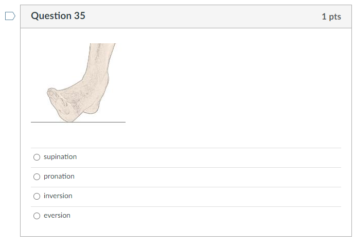 Solved Complete the following Lab Activity on Movement | Chegg.com