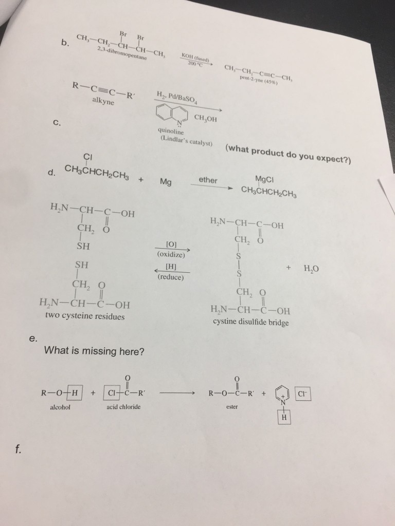 Solved b. 2.3-dibromopentane KOH (fused) pent-2-yne (45%) | Chegg.com