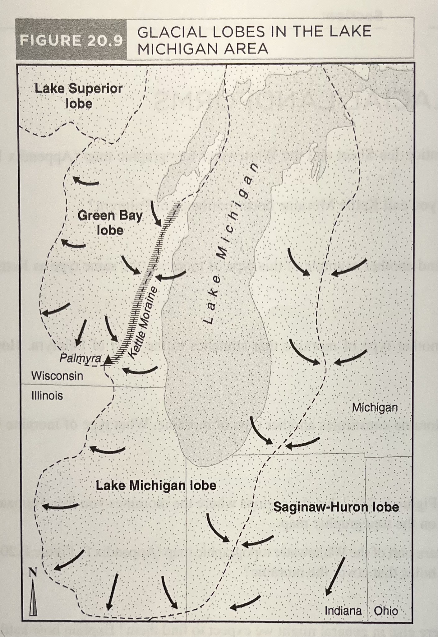 Solved 1. Examine Figure 20.9 showing the lobes of the | Chegg.com