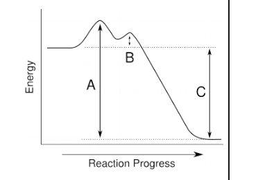 Solved Energy Reaction Progress | Chegg.com
