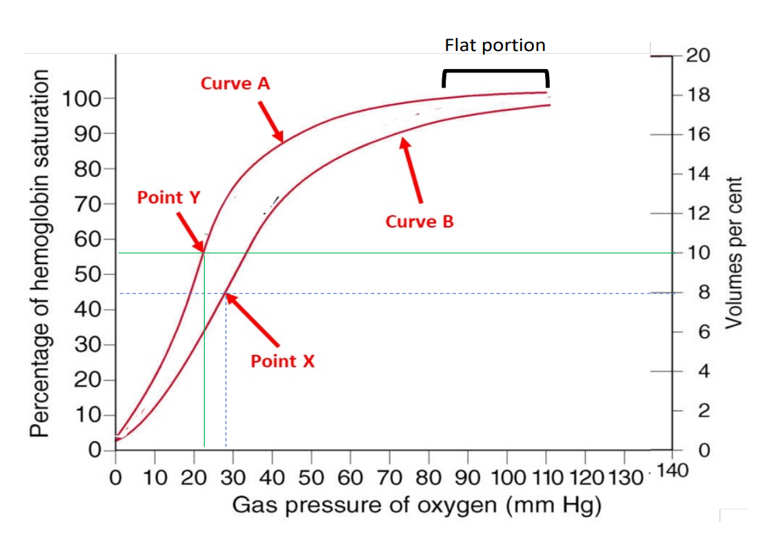 Solved The following figure shows oxygen-haemoglobin | Chegg.com