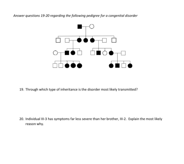 Solved Answer questions 19-20 regarding the following | Chegg.com