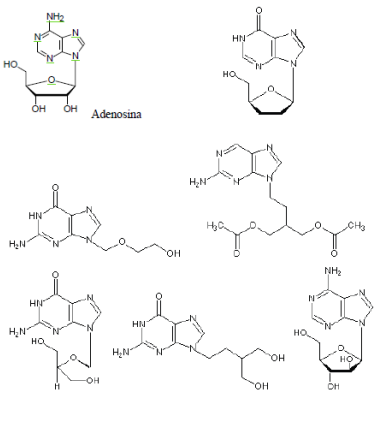 Solved The following antivirals are adenosine analogues. | Chegg.com