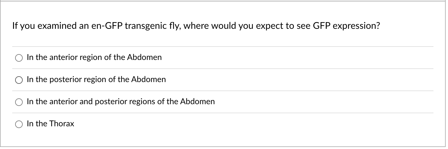 Solved If you examined an en-GFP transgenic fly, where would | Chegg.com