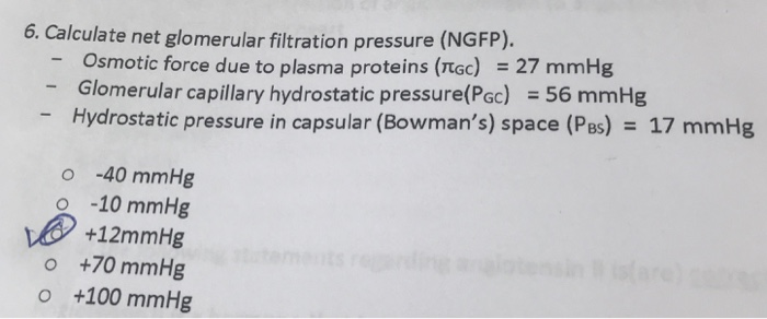 Solved 6. Calculate net glomerular filtration pressure | Chegg.com