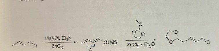 Solved TMSCI, EtzN ZnCl2 OTMS ZnCl2 . Etz | Chegg.com
