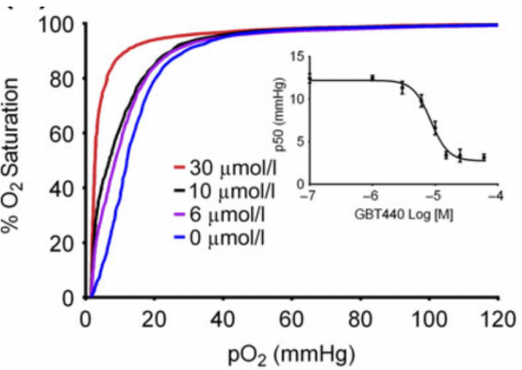 For protein 5E83:1.Based on this PDB, does the | Chegg.com