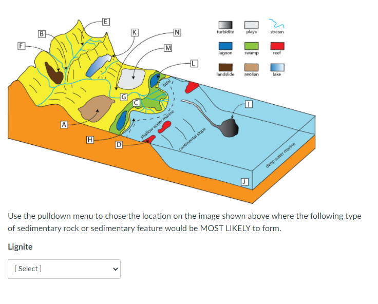 Solved B N turbidite playa stream M lagoon swamp reef | Chegg.com