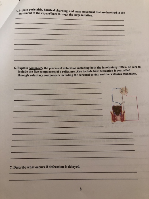 Solved Explain peristalsis, haustral churning, and mass | Chegg.com