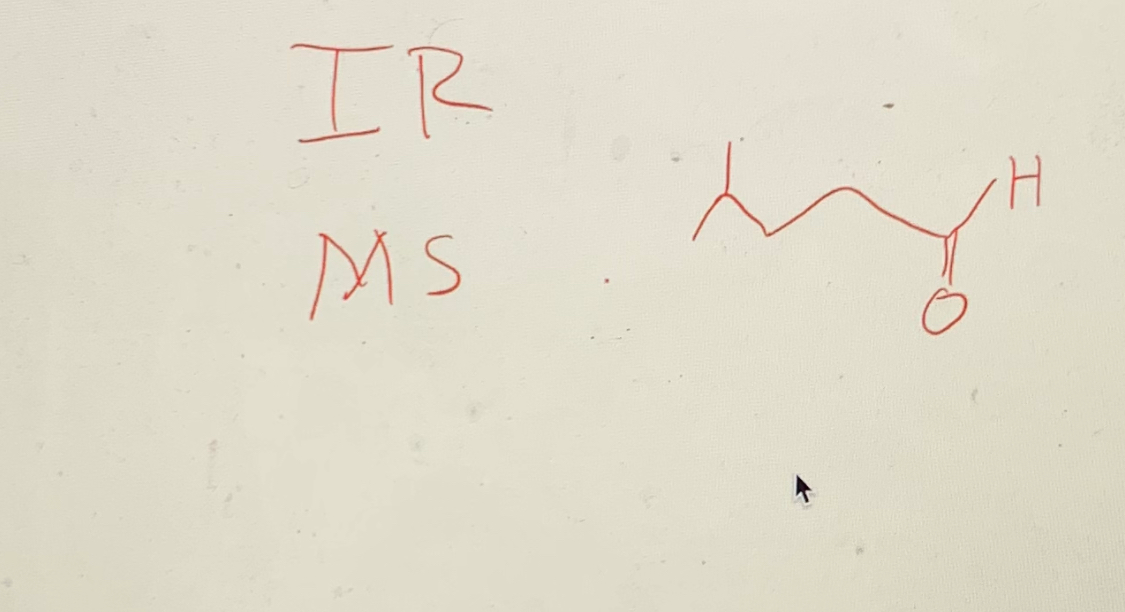 Solved IR MS H | Chegg.com