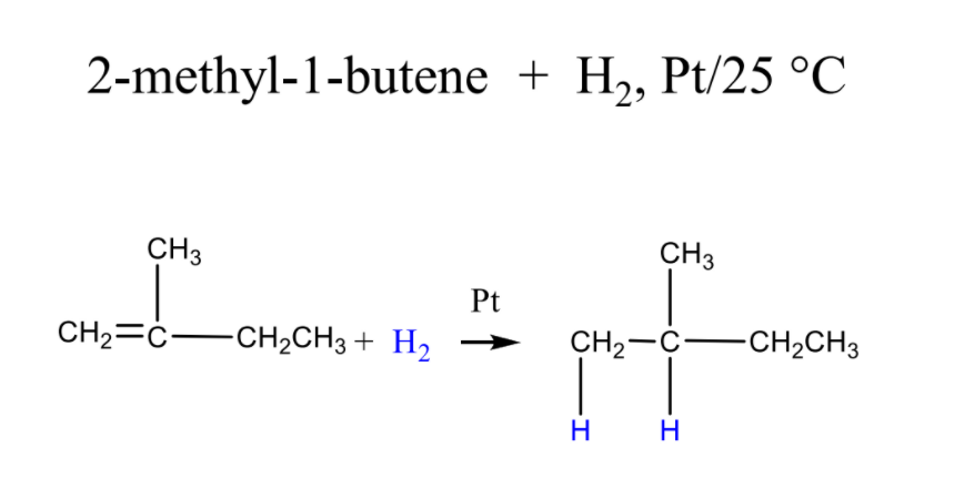 Solved Predict the major products formed when 2- | Chegg.com