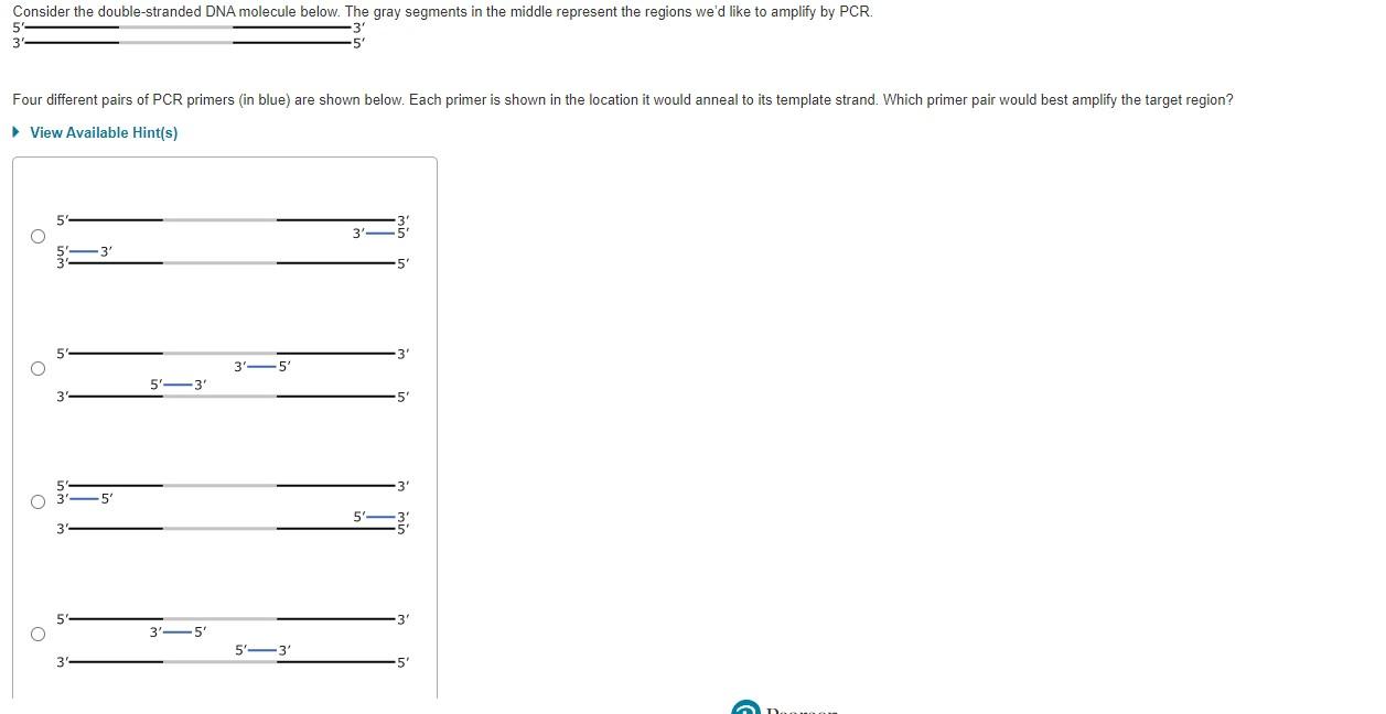 Solved Consider the double-stranded DNA molecule below. The | Chegg.com