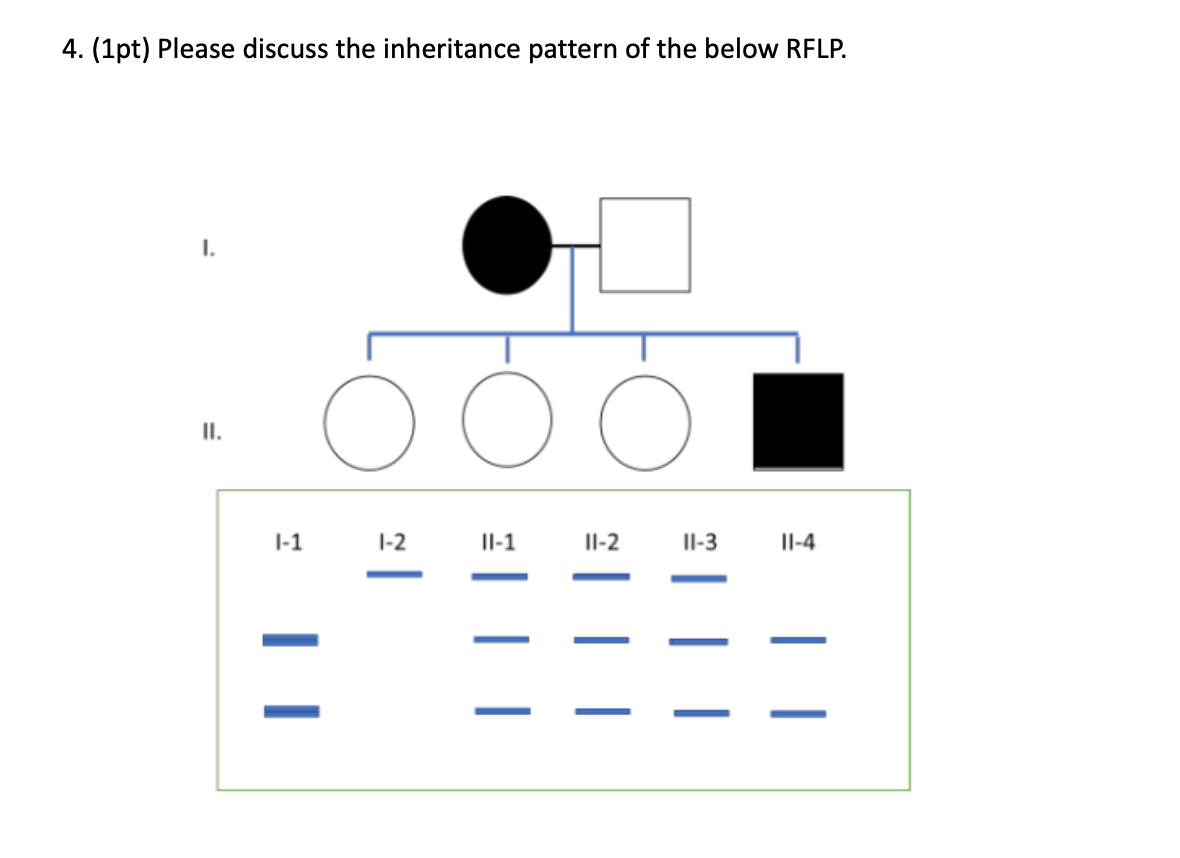 Solved 4. (1pt) Please discuss the inheritance pattern of | Chegg.com