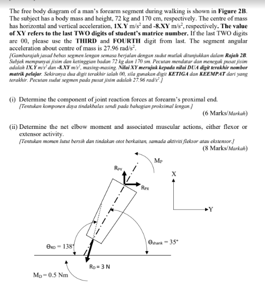 The free body diagram of a man's forearm segment | Chegg.com