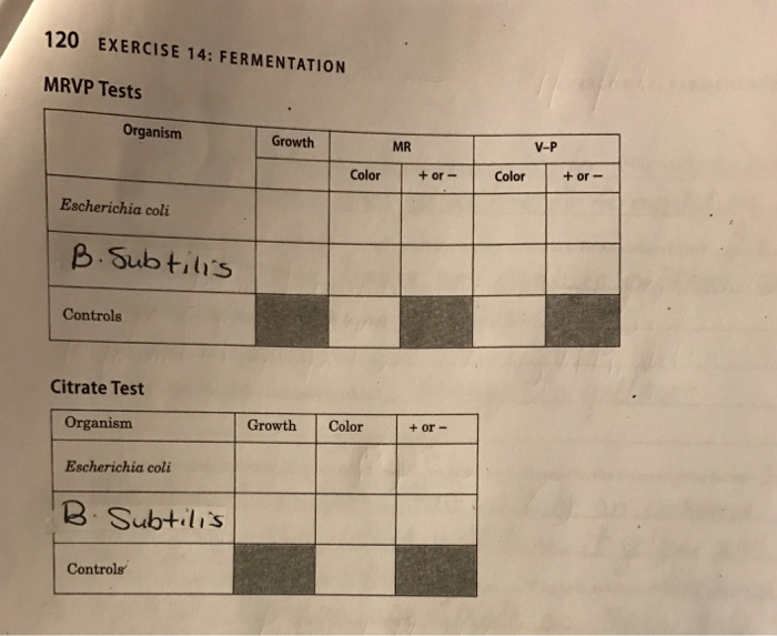 Solved 120 EXERCISE 14: FERMENTATION MRVP Tests Organism | Chegg.com