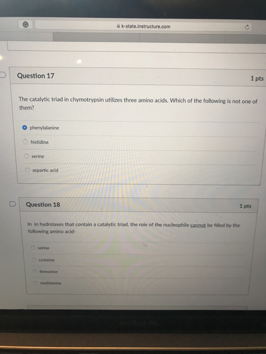 Solved k-state.instructure.com Question 17 1 pts The | Chegg.com
