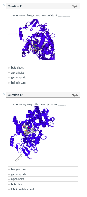 Solved In the following image the arrow points at __________ | Chegg.com