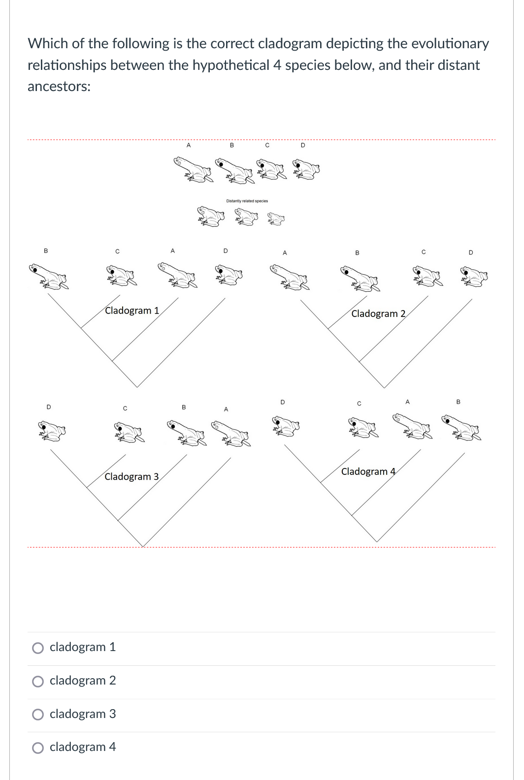 Solved Which of the following is the correct cladogram | Chegg.com