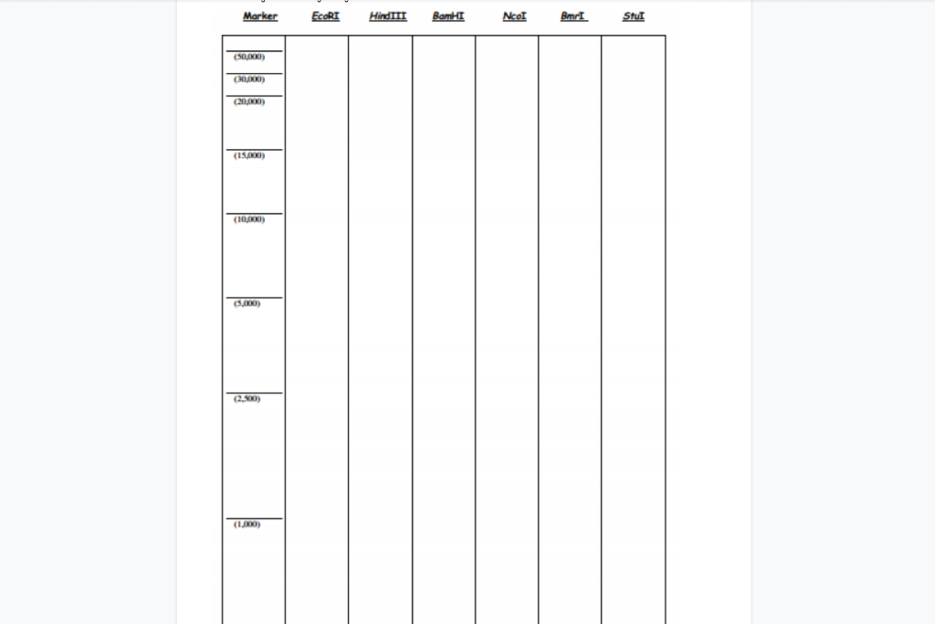 Solved List the DNA fragments in the following chart under | Chegg.com