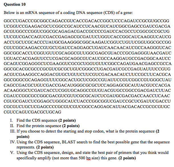 Solved Question 10 Below is an mRNA sequence of a coding DNA | Chegg.com