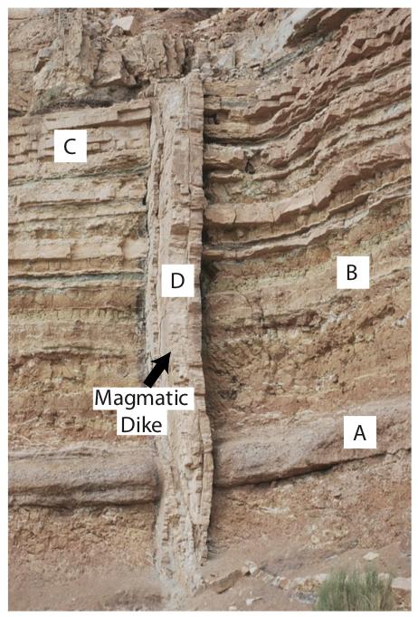 Solved The above photograph shows a vertical magmatic | Chegg.com