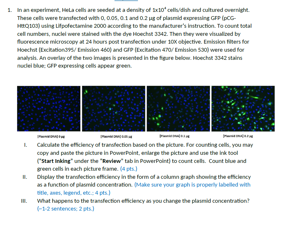Solved In an experiment, HeLa cells are seeded at a density | Chegg.com