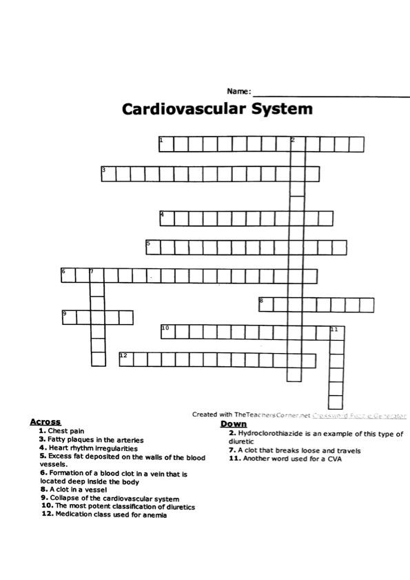 Solved Name: Cardiovascular System Created with The Teachers | Chegg.com