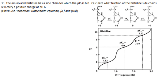 Solved 33. The amino acid histidine has a side chain for | Chegg.com