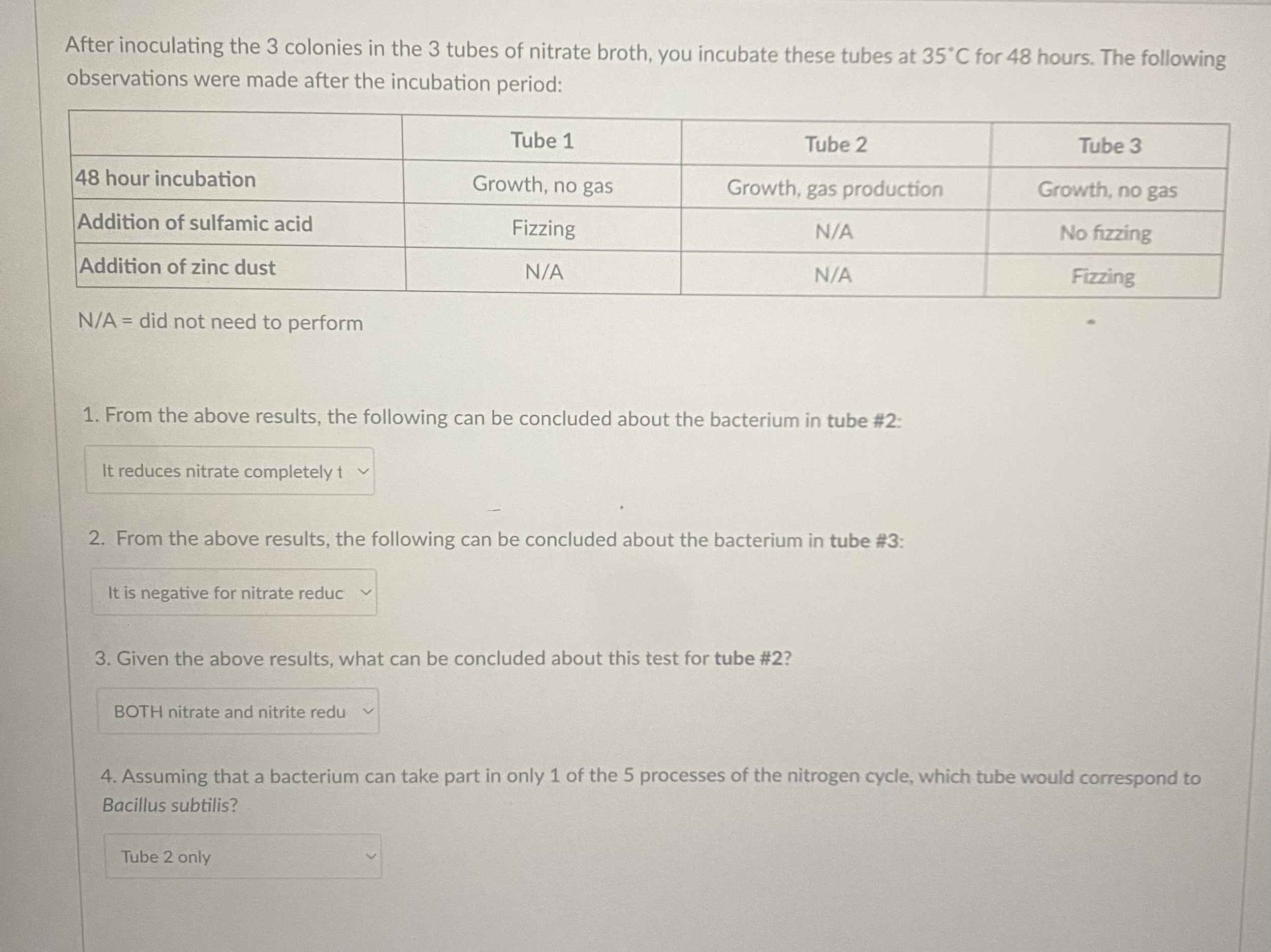 Solved After inoculating the 3 colonies in the 3 tubes of | Chegg.com