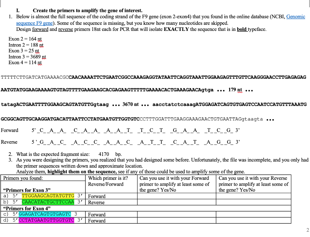 Solved 1. Create the primers to amplify the gene of | Chegg.com