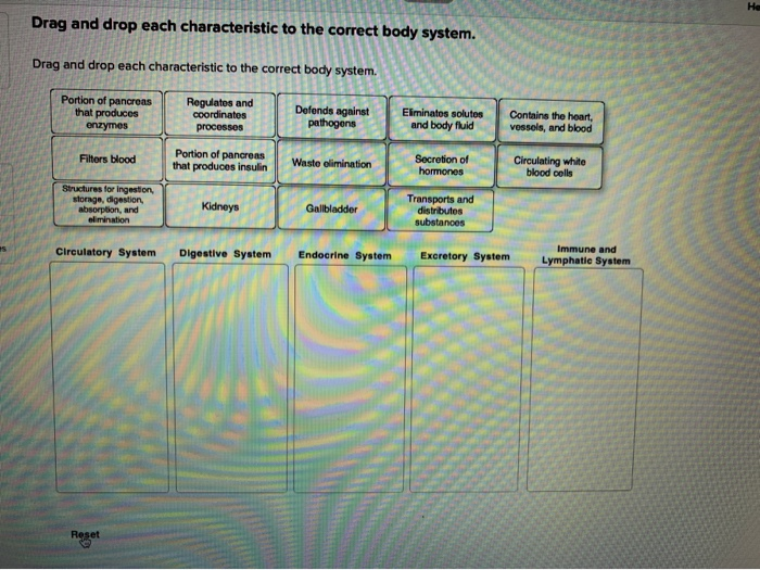 Solved На Drag and drop each characteristic to the correct | Chegg.com