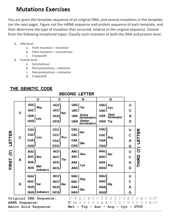 Solved Mutations Exercises You are given the template | Chegg.com
