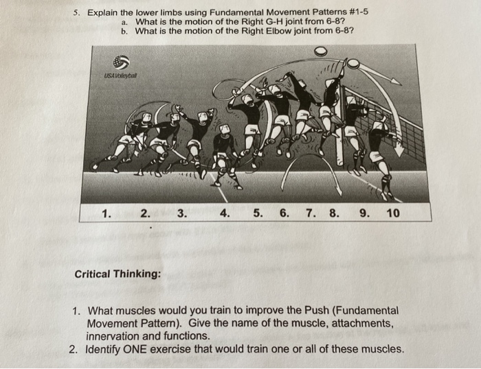 Solved 5. Explain the lower limbs using Fundamental Movement | Chegg.com