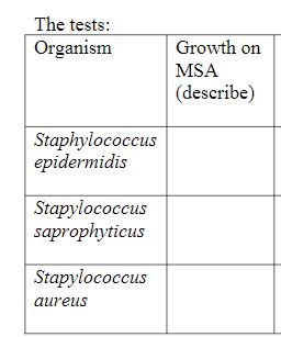Solved The tests: Organism Growth on MSA (describe) | Chegg.com