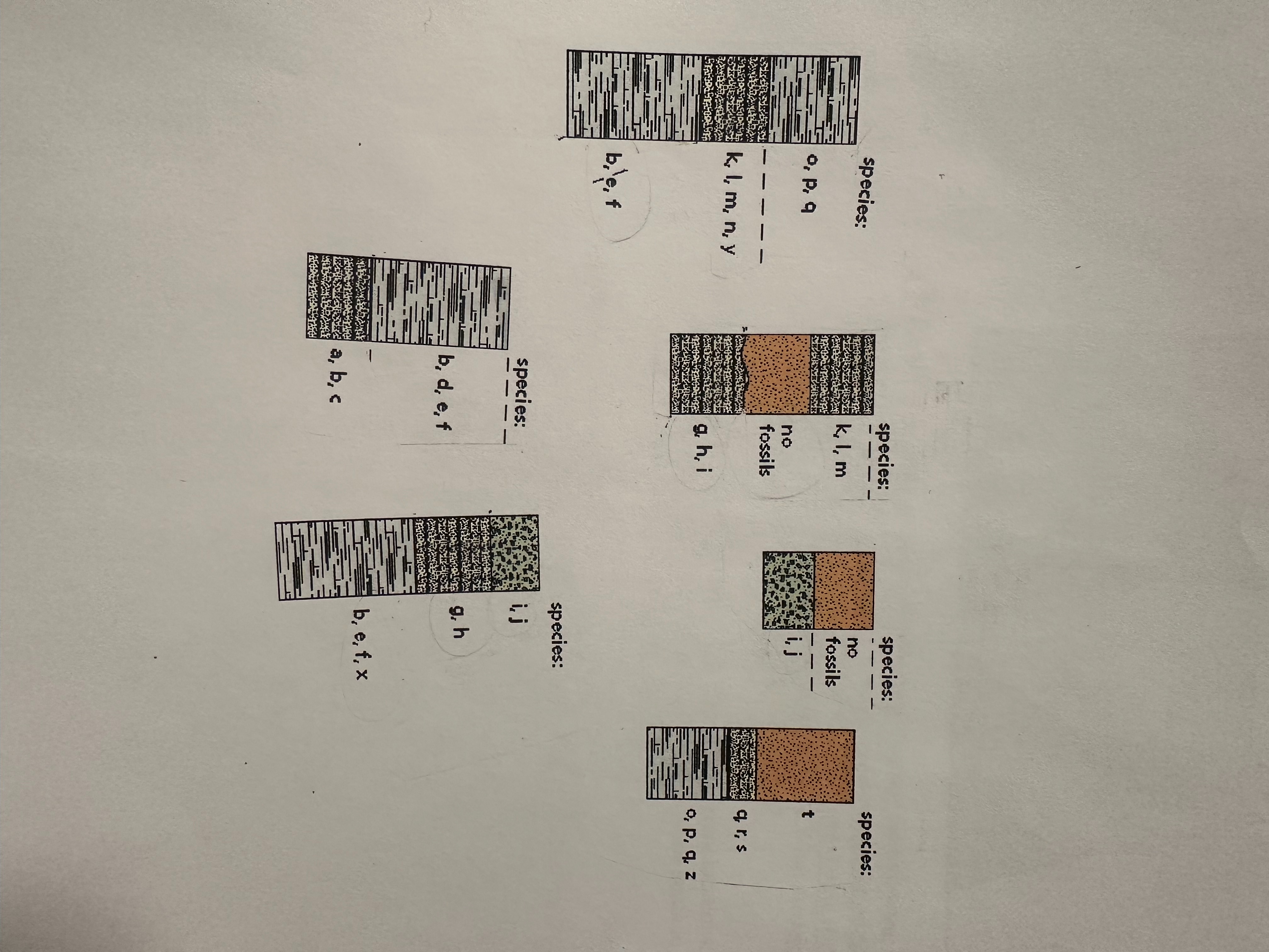 You have pictures of different strata found at | Chegg.com