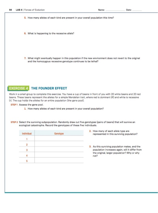 Date: Lab Exercises 3 12 13 14 15 16 17 18 19 20 10 | Chegg.com