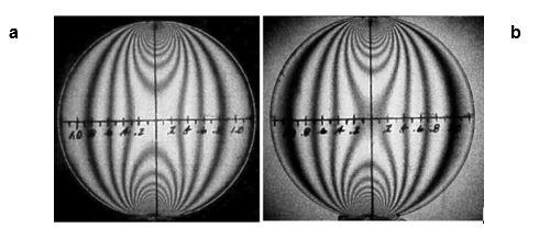 Solved The photoelastic patterns for a circular disk under | Chegg.com