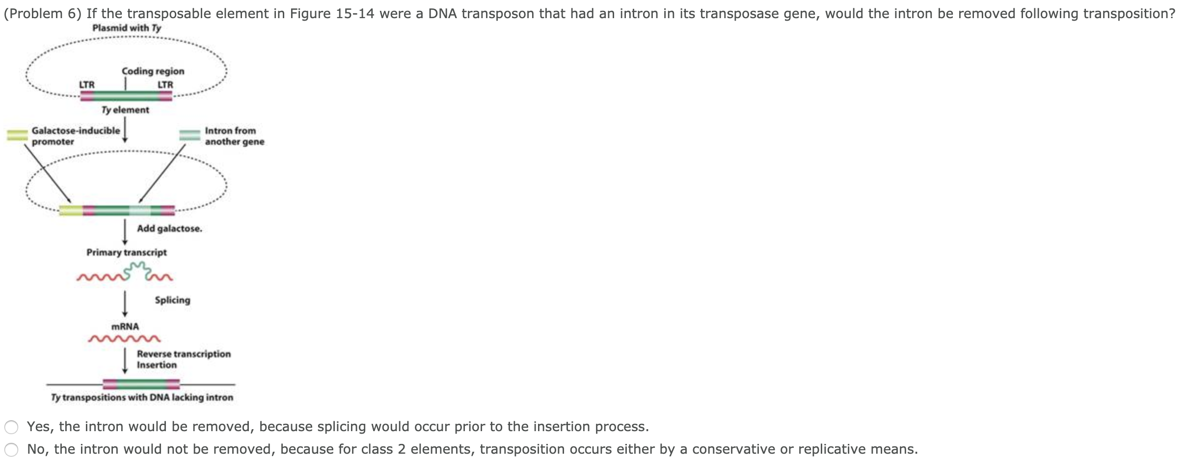 Solved (Problem 6) If the transposable element in Figure | Chegg.com