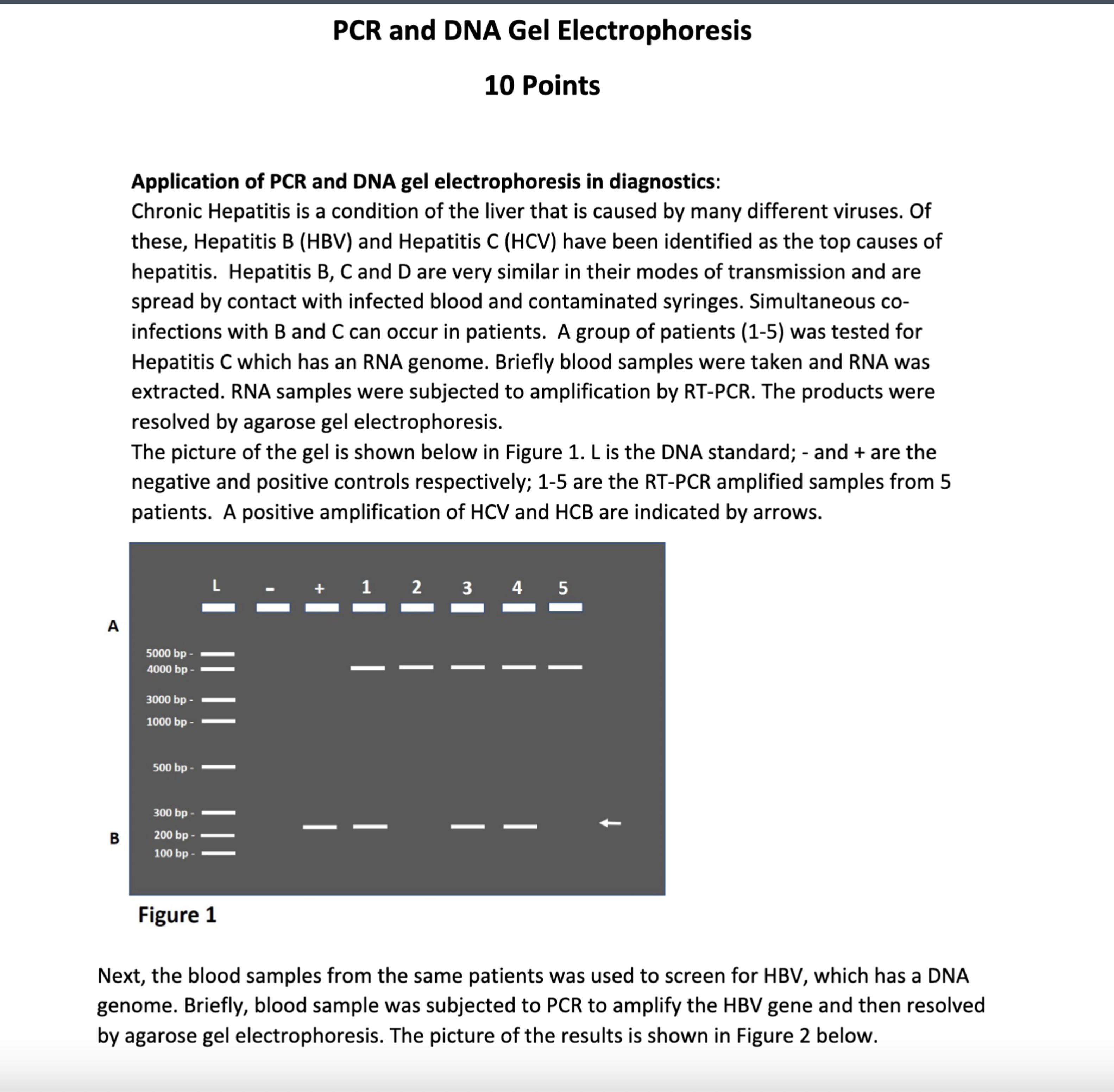 Solved Figure 1 ﻿Figure 2(2 ﻿pt) ﻿What is the principle | Chegg.com