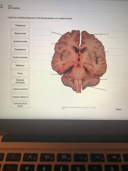 Biology Archive | September 11, 2017 | Chegg.com