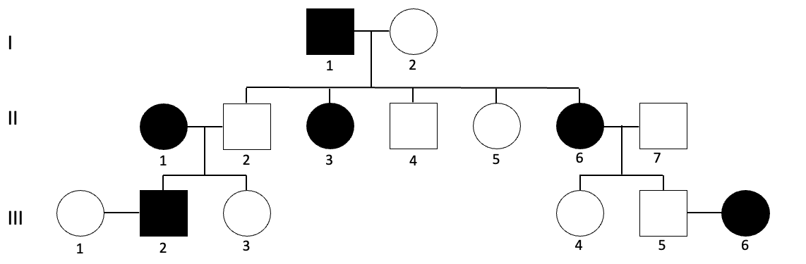 Solved For the pedigree below, could the inheritance pattern | Chegg.com