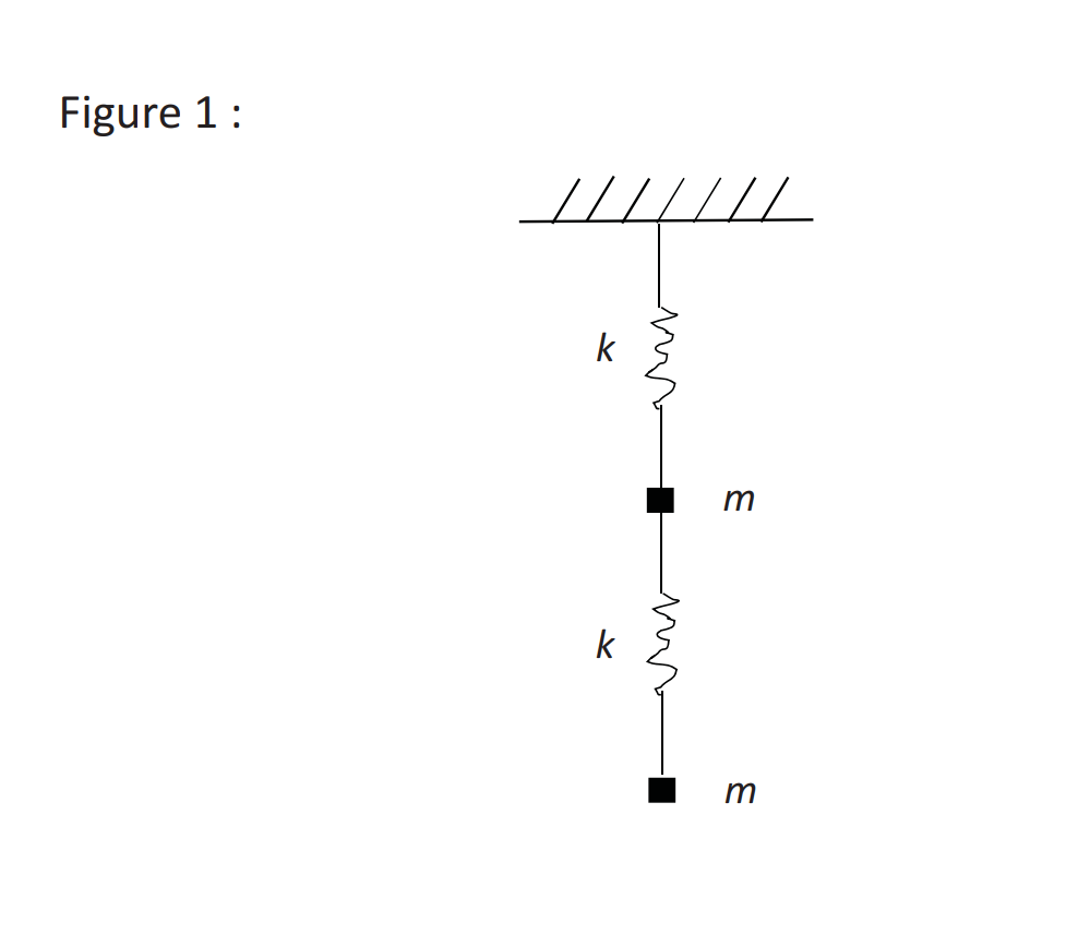 Solved In Figure 1 the coupled spring-mass system is hanged | Chegg.com