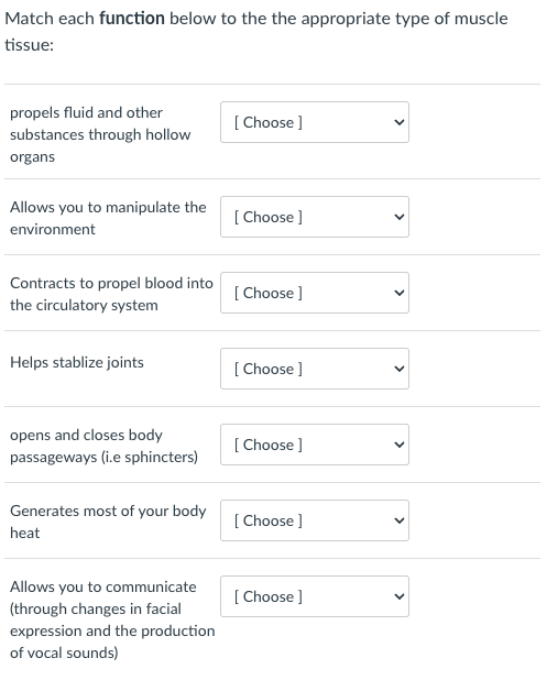 Solved Match each function below to the the appropriate type | Chegg.com