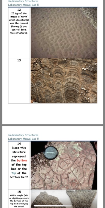 Solved LAB EXERCISES Using the sedimentary structures | Chegg.com