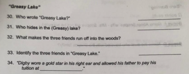 Solved "Greasy Lake" 30. Who wrote "Greasy Lake?" 31. Who | Chegg.com