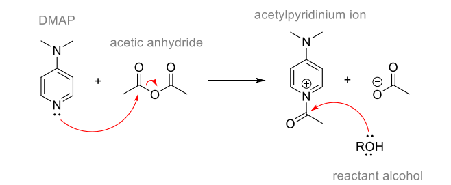 Solved 2. Using your mechanism from question 1, why do we | Chegg.com