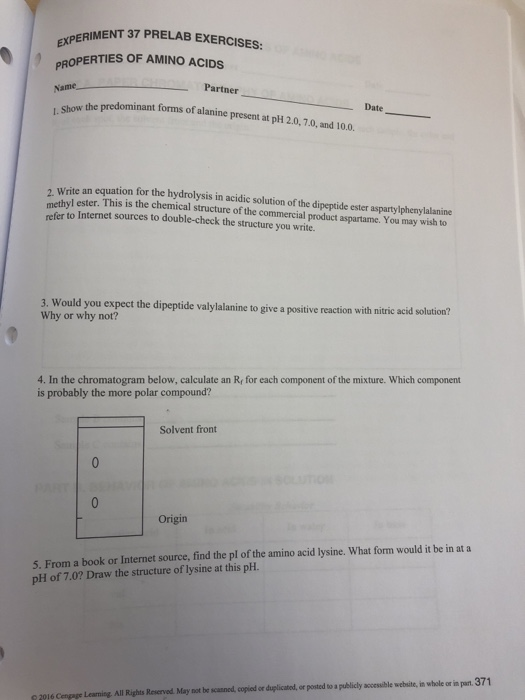 Solved RIMENT 37 PRELAB EXERCISES: PROPERTIES OF AMINO ACIDS | Chegg.com